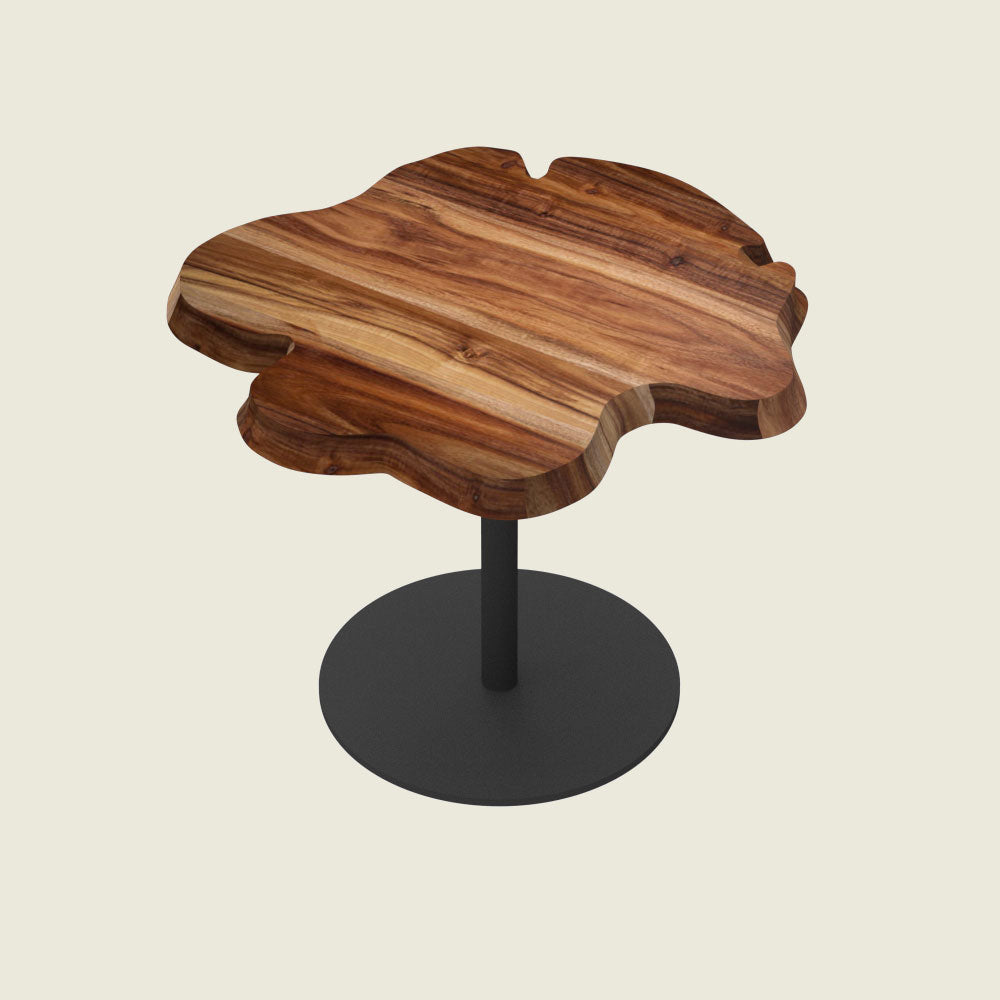 Darwin End Table B – Mohh